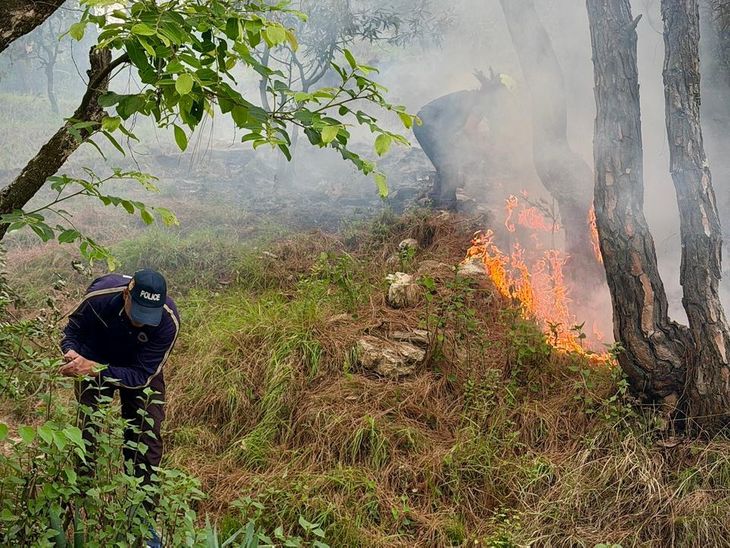 Bageshwar Garud Fire Station Curbs Jungle Fire | Prevents Aabadi Expansion