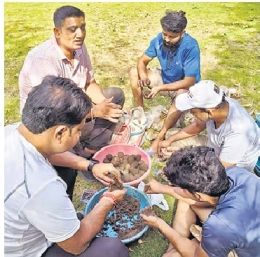 World Environment Day tomorrow: 21,000 seed balls ready, will make the ...