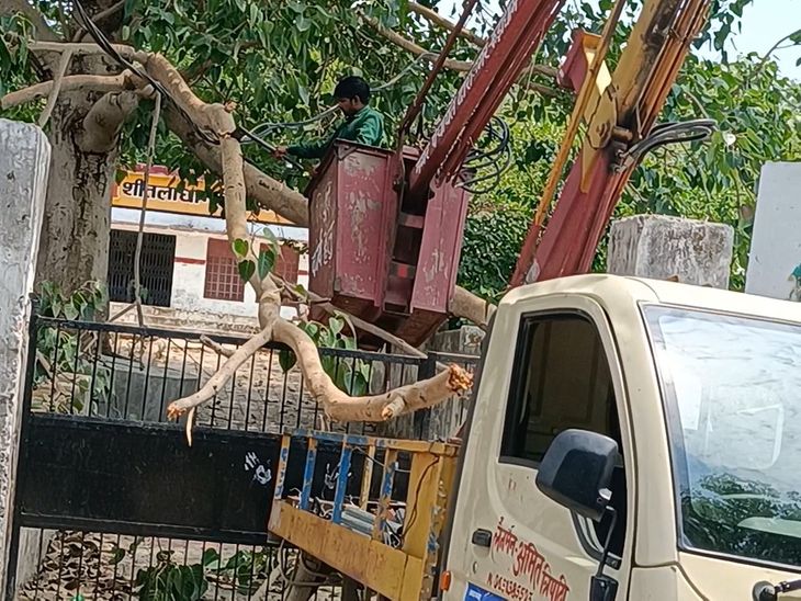 Pratapgarh Nagar Panchayat Action | Kaaleshwar Ghat Tree Branch Removed