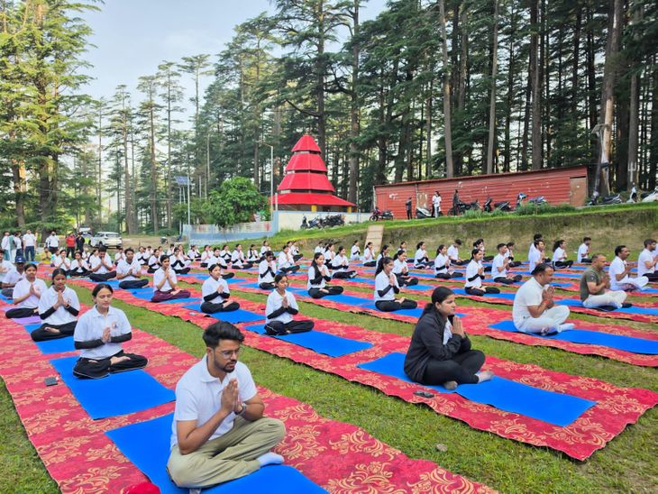 Champawat: 108 People Collective Yoga Sends Healthy Life Message