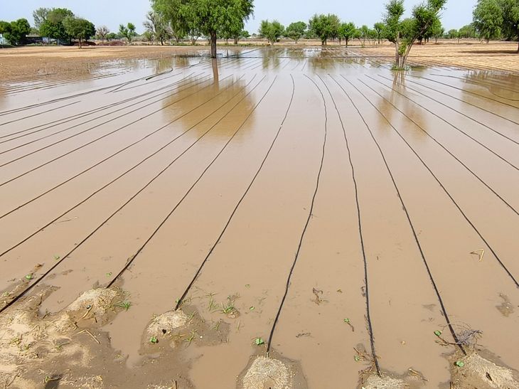 Riyan Badi Storm: Trees, Poles Fall; Heat Relief!