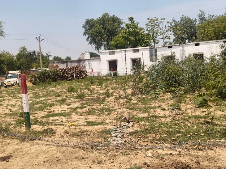Parsidhpur Miya Waki Trees Dry | Care Taker Fail Damage