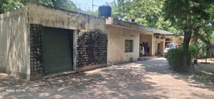 Plants are drying up in the heat, leaving behind greenery and ugly, dry ...