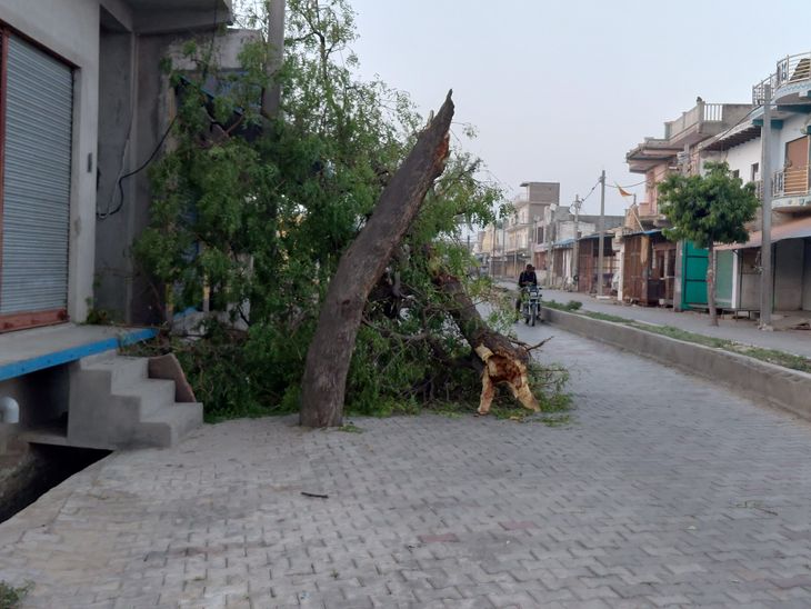 Sahapu Bike Rider Narrow Escape | Traffic Disrupted By Tree Fall