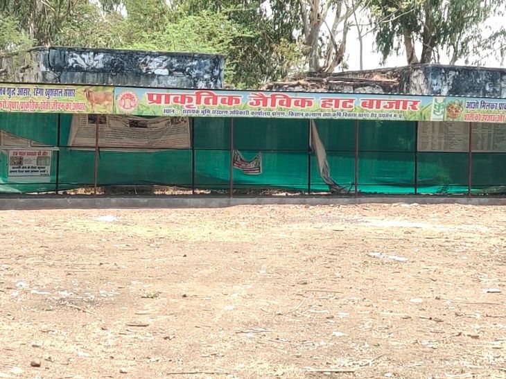 Raisen Organic Haat Market Shut | Farmers Distance Due To Lack Of ...