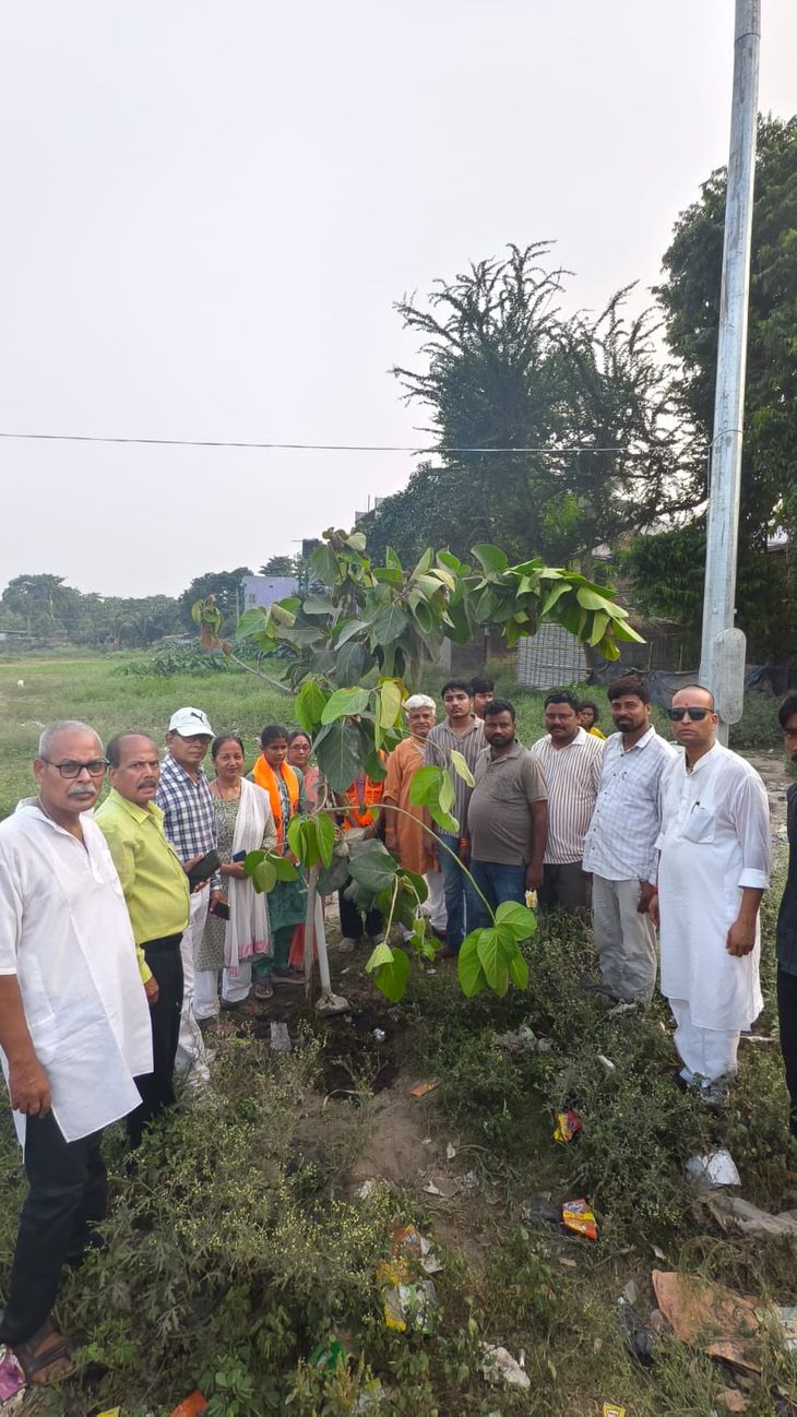 Planting trees to protect the environment