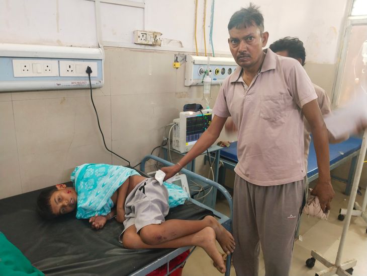 Fatehpur Child Attacked by Rabid Dog | Hospitalized