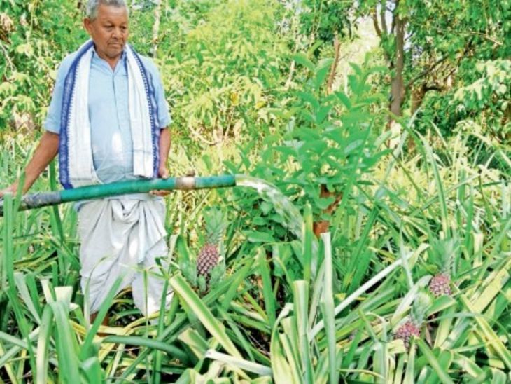 Agricultural scientists considered the role model of alternative farming