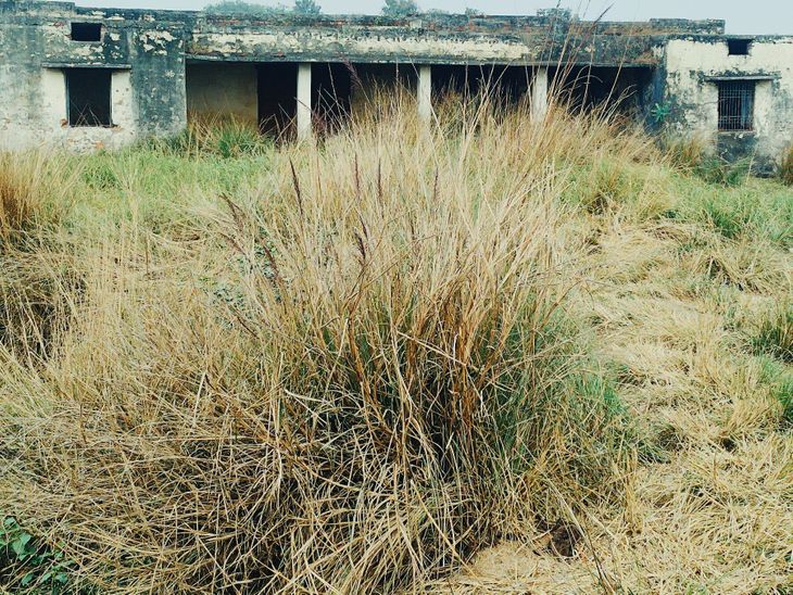 Bhathora Sahakar Samiti Building Jajjar | Khad Beej Vitran Band