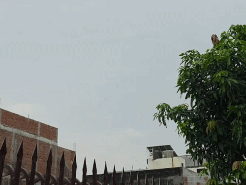 Varanasi Pre-Monsoon Rain Alert | Power Cut Woes | Demand 865MW