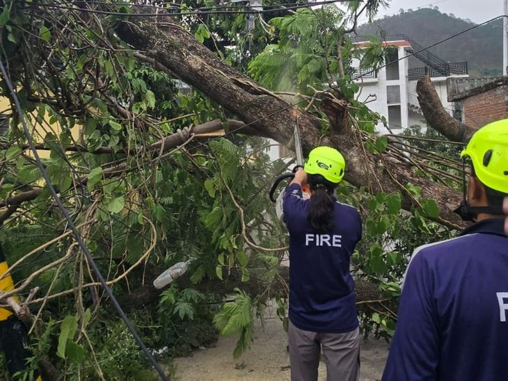 Bageshwar Tree Fall Traffic Restored By Fire Team