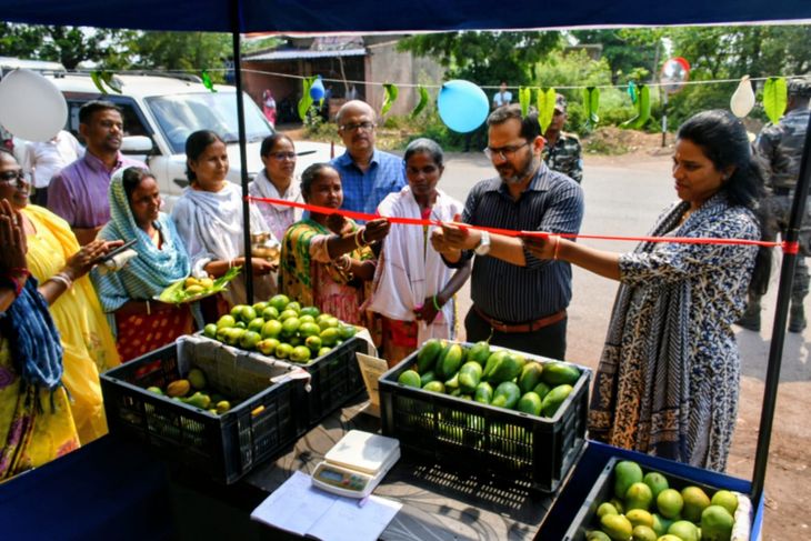 Farmers' hard work finds a market, 1,000 kg of Amrapali mangoes ordered
