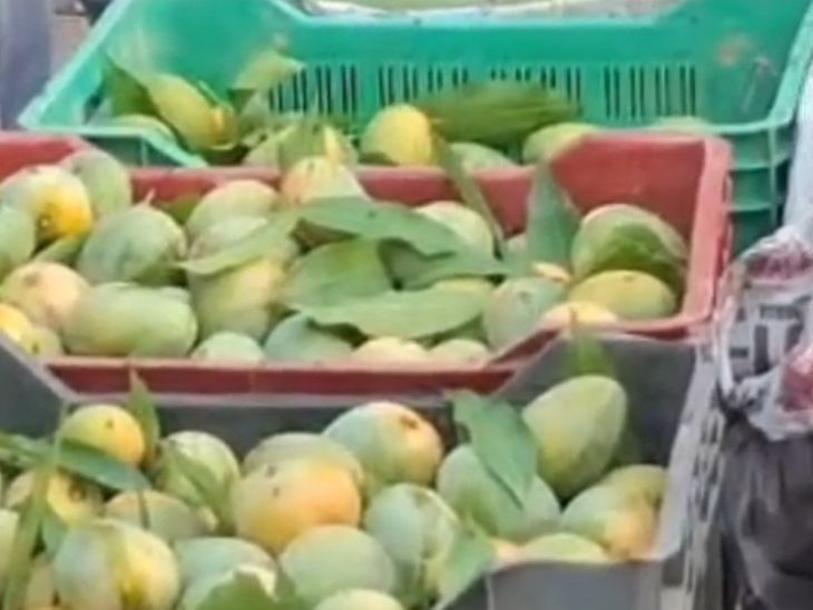 Ambedkar Nagar Carbide Mango Ripening Health Risk | FSSAI Warning