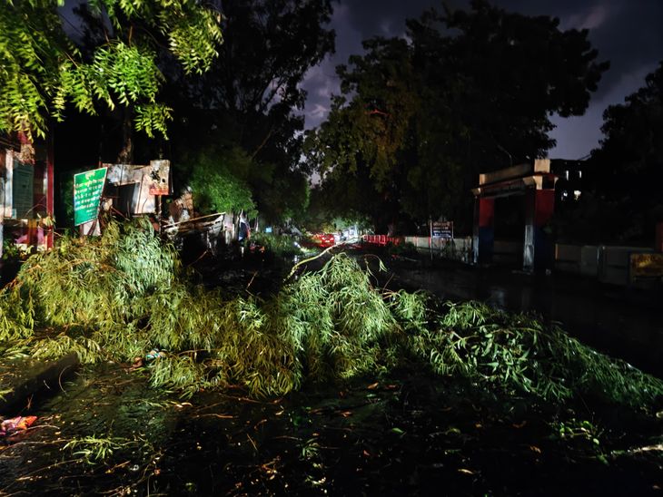 Pratapgarh Storm: Trees, Poles Down | Traffic, Power Disrupted
