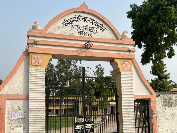 Pilibhit Monkey Attack | Mans Hand Vein Cut; Serious Condition