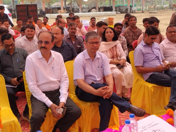 Kakori Cow Shelter Special Program | Modi Govt 12 Years Achivements
