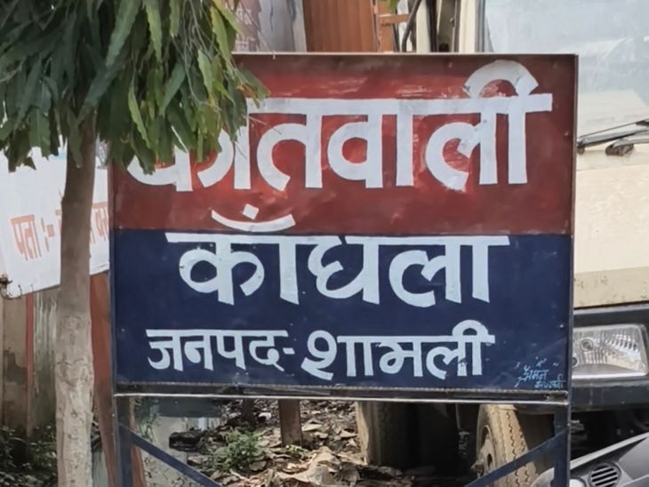 Kandhla Youth Snake Bite: Condition Worsens, Discharged After First Aid