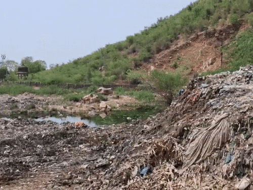 Sawai Madhopur Court Orders Garbage Removal, Bans Burning