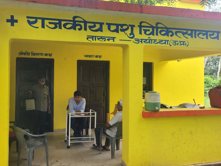 Tarun Block Animal Vaccination: 34K Cattle Get Lumpy Disease Shot