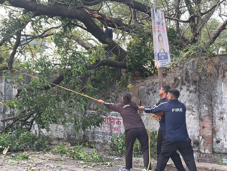 Uttarakhand Fire Service Clears Trees | Tonkpur Traffic Restored