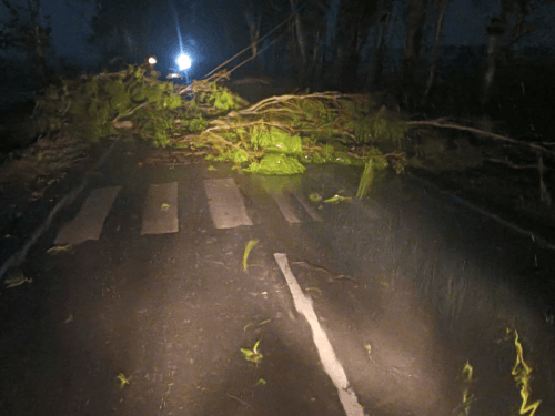 Haryana Weather Alert: Heavy Winds & Rain Advisory