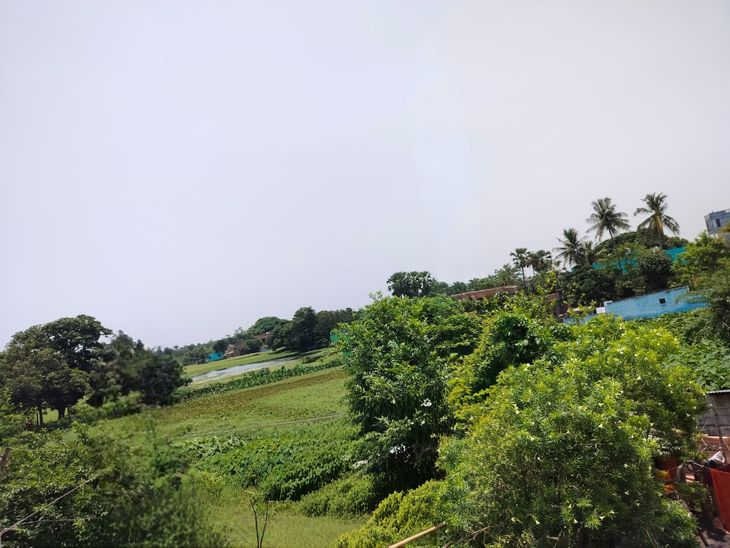 The encroachment of the historic Dhobiya pond, which is filled with ...