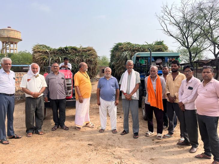 258 maunds of green fodder was distributed for the cows.