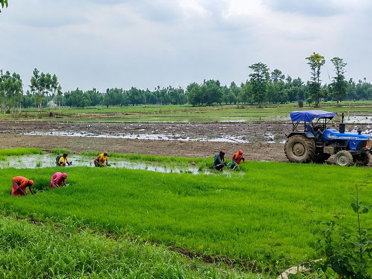 Bijua Farmers Use Tube Wells for Irrigation Amid Rising Costs