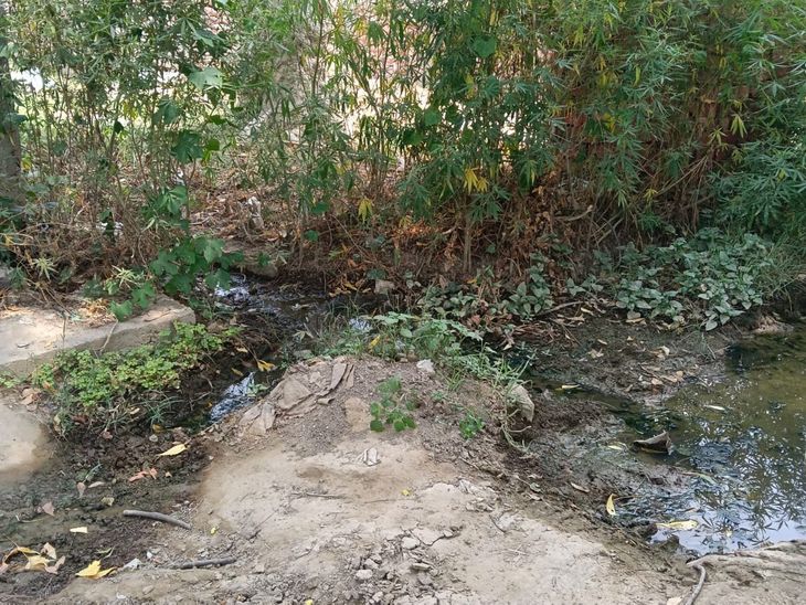 Unnao Hilloli Block Drains Choked | Disease Risk Rises