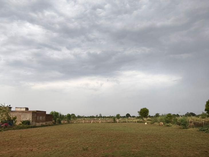Sainthal Rain Relief | Summer Heat Eases, Kharif Sowing Boosted
