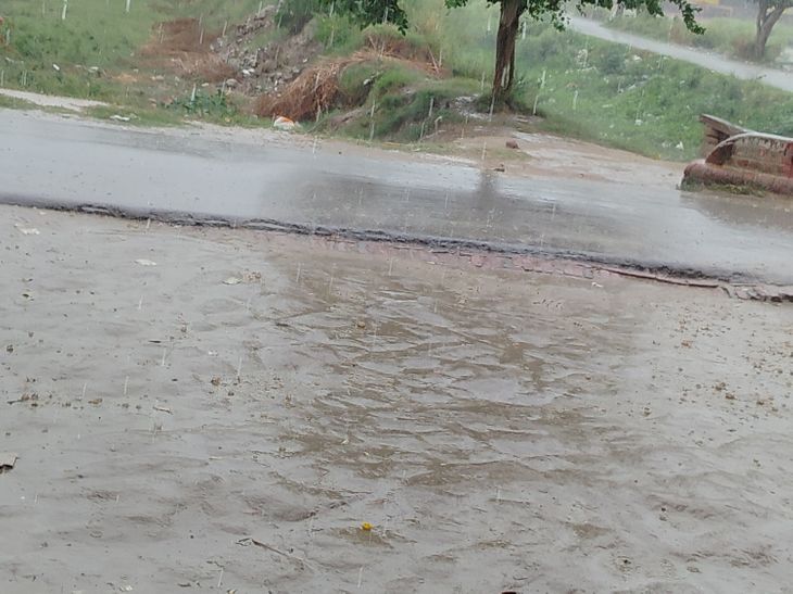 Ayodhya Rain Boosts Sugarcane & Dhaincha Crops | Fertilizer Tips