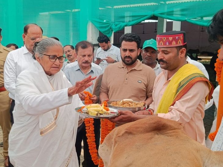 Amroha Gau Shala Visit: Minister Gulab Devi Inspects, Orders Special ...