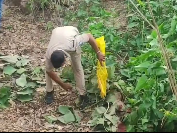 Jamnia Forest Remains Found | Jhabua Heavy Police Deployed