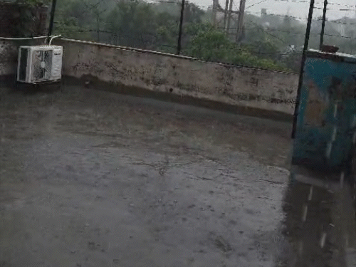 Punjab Chandigarh Rain-Hail Warning | Temp Drop, Deaths
