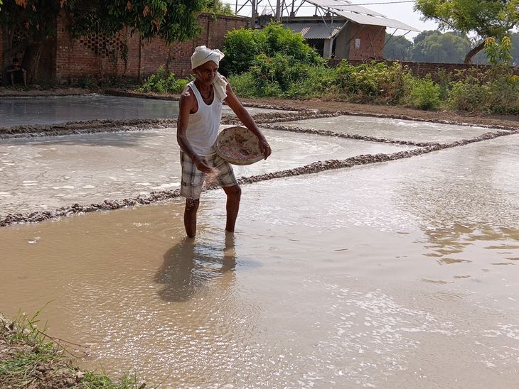 Machhlishahr Dhan Nursery Farming | Weather Change Activates Farmers