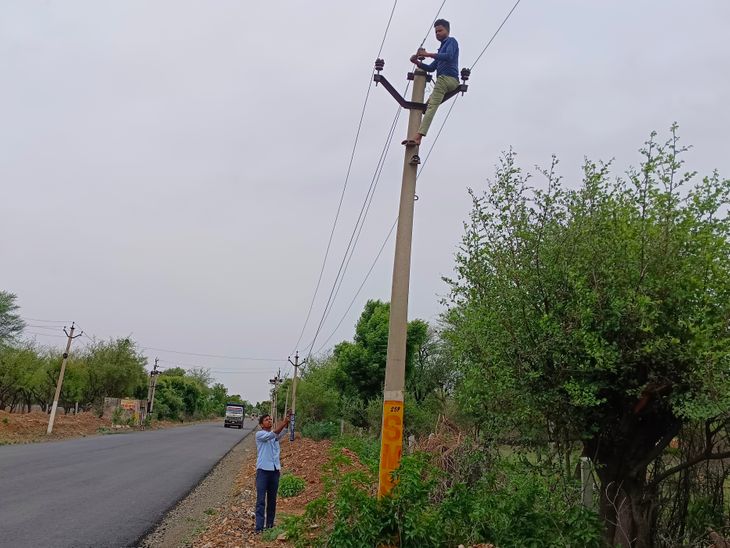 Chirna Power Outage | Heavy Wind Tree Fall; 11KV Line Damage