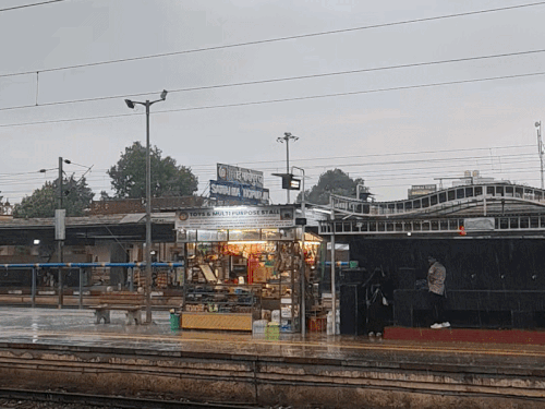 Sawai Madhopur Pre-Monsoon Activity Brings Rain, Relief From Heat