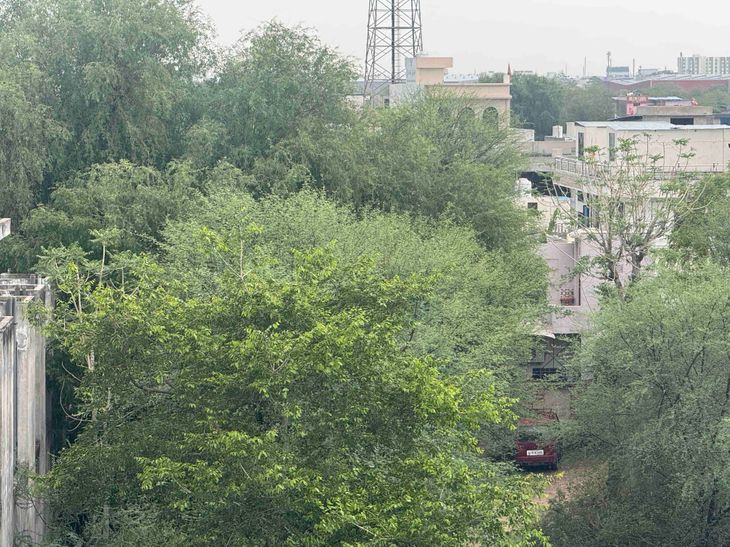 Dudu Rain Brings Relief | Temperature Drop After Heat