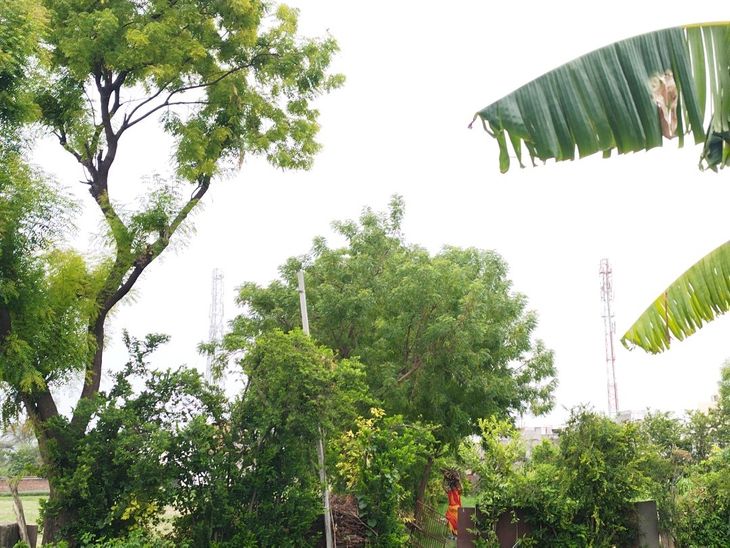 Rashmi Relief: Heat, Humidity Drop; Temp Falls After Light Rain