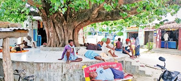 The cool shade of trees provides relief from the heat and scorching sun.