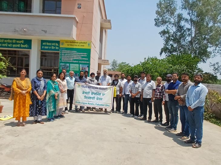 PAU Trains Youth, Farmers on Dairy Farming Modern Techniques