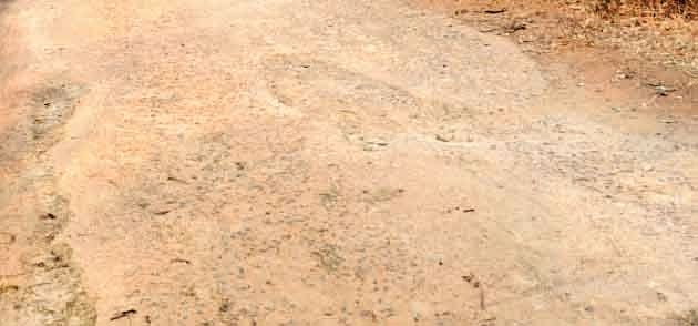 The access road to Aurabhata Dam is in a bad condition, causing ...