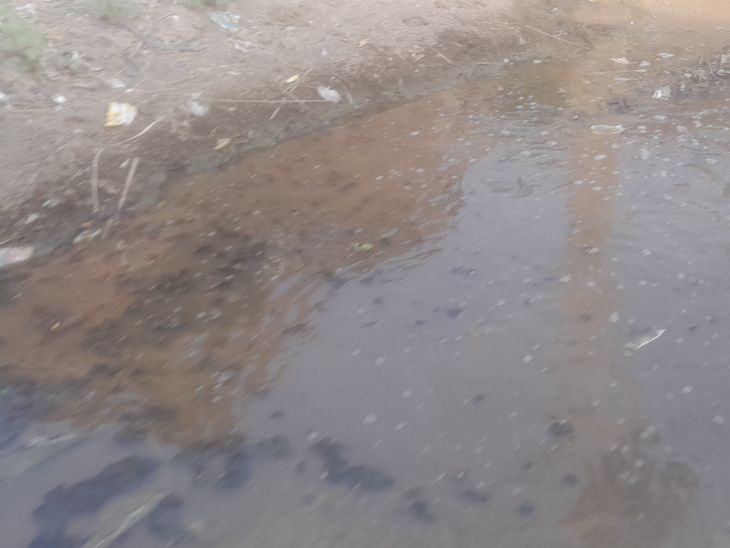 Kasganj Bodar Village Hygiene Crisis | Health Risk Alert