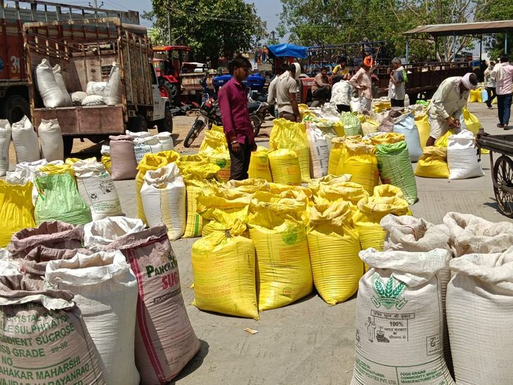 Chhipabarod Mandi: Dhaniya 15300, Gehu 2581, Makka 2036Quintal
