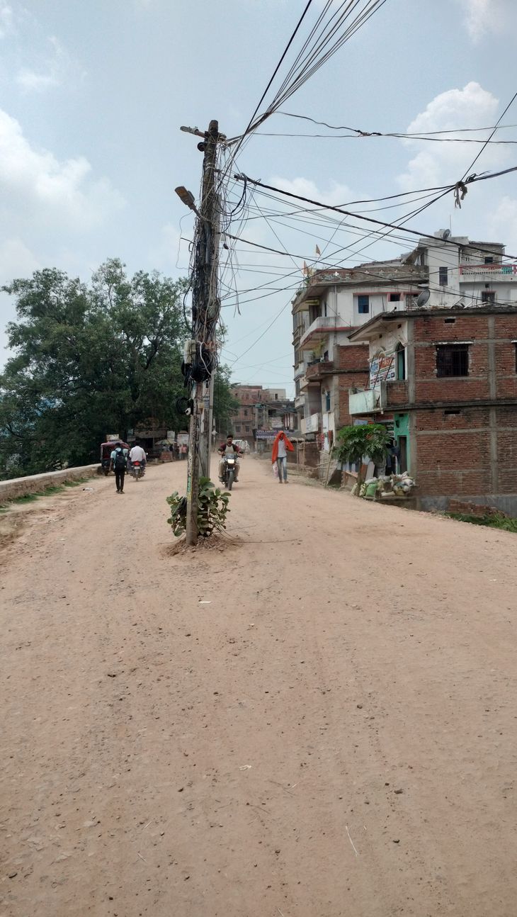 Trees along with electric poles are not being removed due to non ...