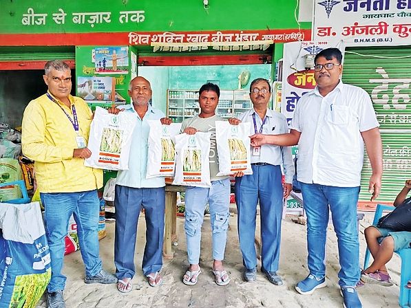 Distribution of subsidized hybrid paddy seeds started in Harsiddhi