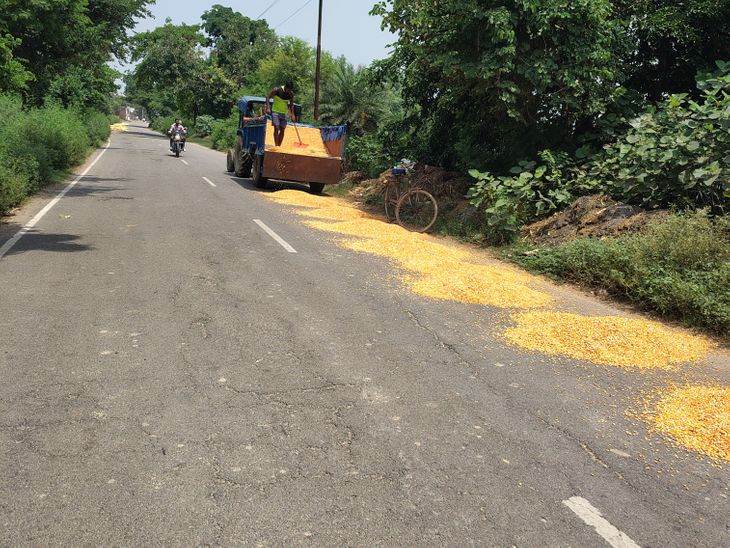 Farmers Drying Corn on Road | Accidents Rise; ARTO Says Not Our ...