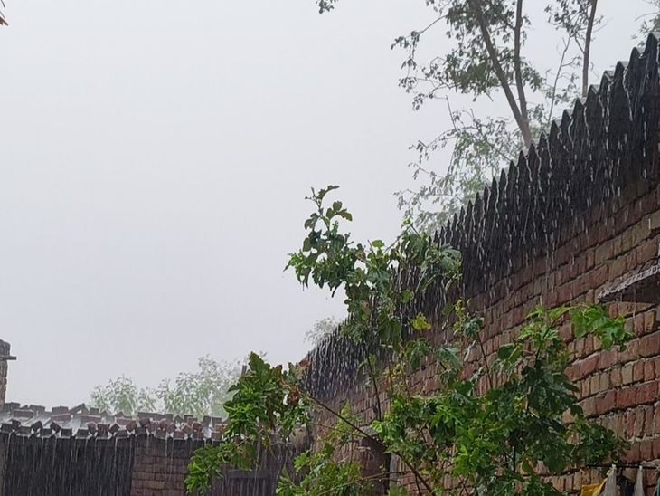 Region Rain Benefits Crops | 40 Min Clouds Bring Chill-Up