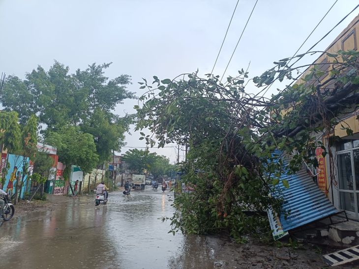 Hamirgarh Tree Branch Damages Shed & Power Line | Windstorm