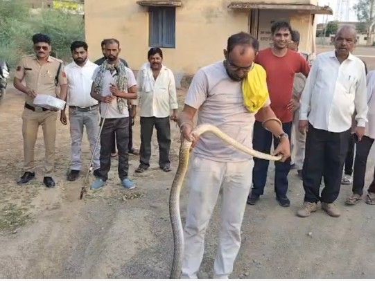 Simaria Police Station Snake Rescue | Sarpanch Mahendra Dhruv
